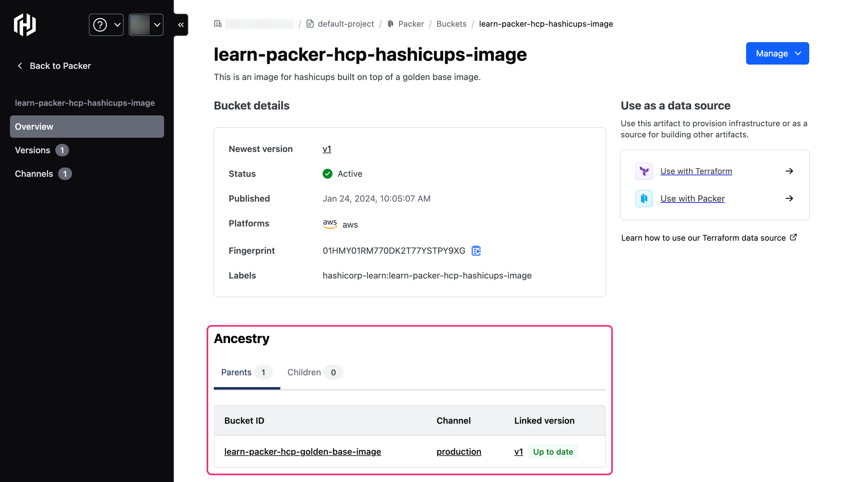 Build a Golden Image Pipeline with HCP Packer | Packer | HashiCorp Developer